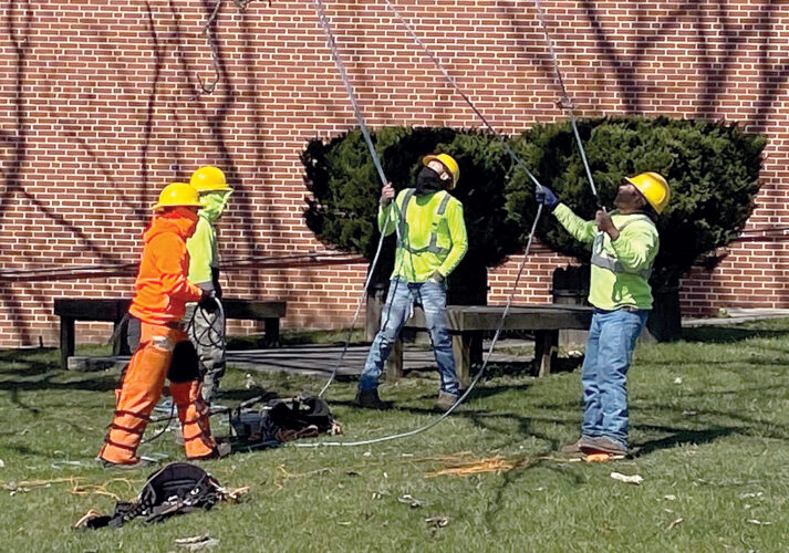 Tree Work | News, Sports, Jobs - The Intermountain